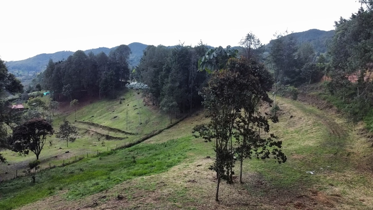 Sueños Y Tierras - Venta de Propiedaded - Lotes Código Propiedad: 3974